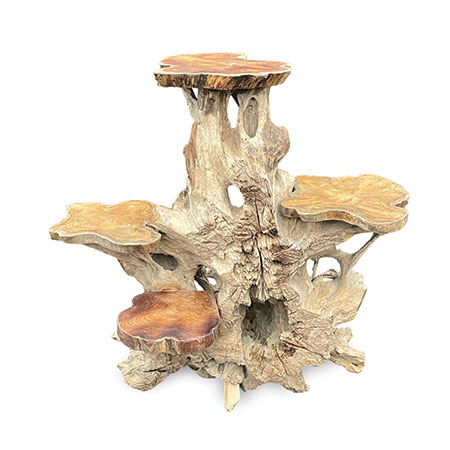 Buy root tree display stand from Makasi Imports