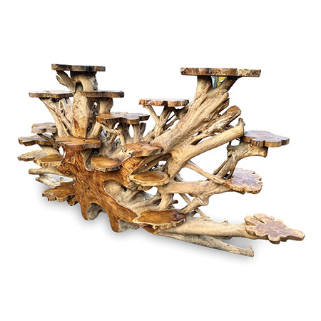 Buy giant 4m root display stand from Makasi Imports